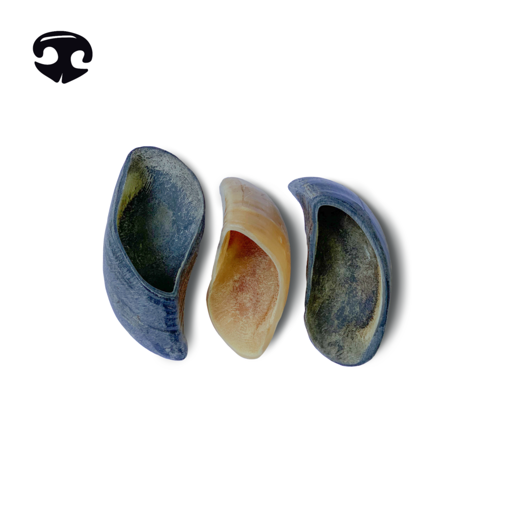 KIT COM 3 CASCOS BOVINOS – LUV – Aunimô