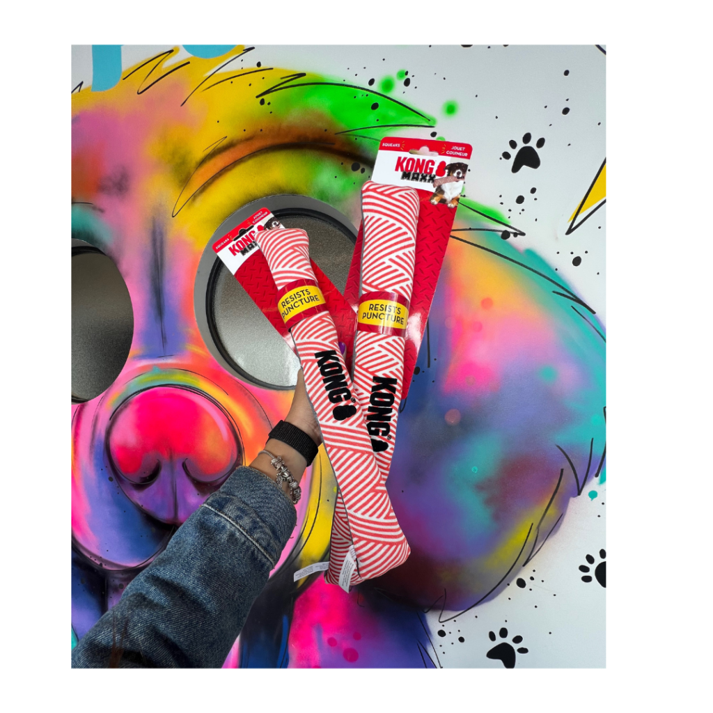 BRINQUEDO KONG BASTÃO MAXX STICK RESISTENTE – Aunimô